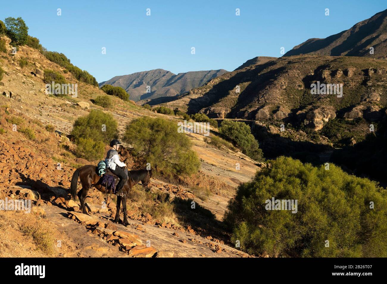 Lesotho basotho pony hi-res stock photography and images - Alamy