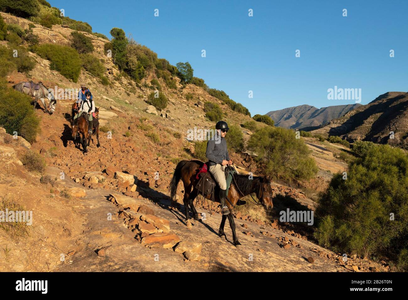Lesotho basotho pony High Resolution Stock Photography and Images - Alamy