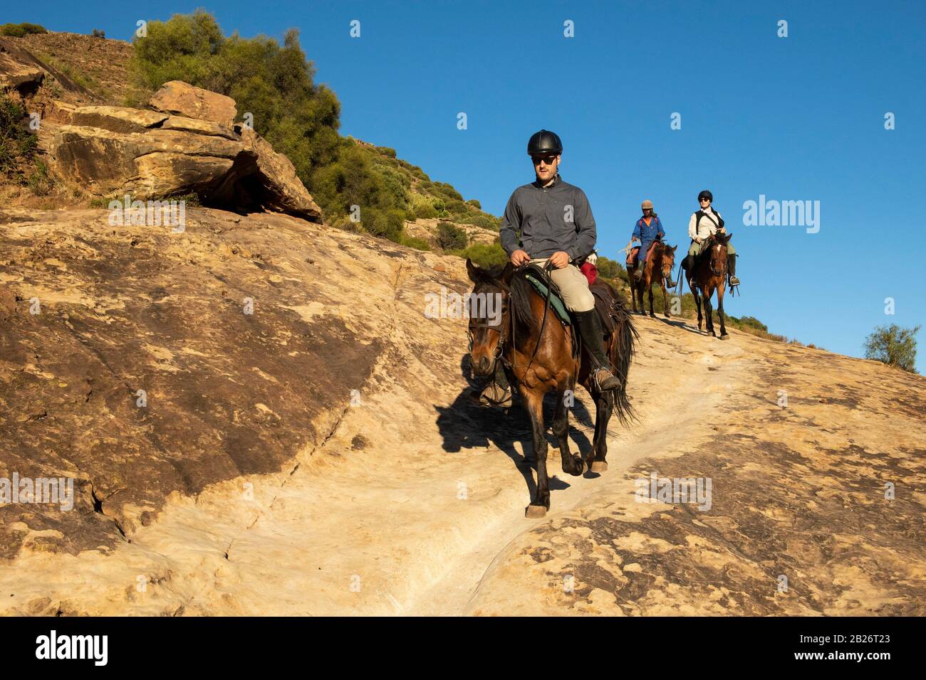 Lesotho basotho pony High Resolution Stock Photography and Images - Alamy