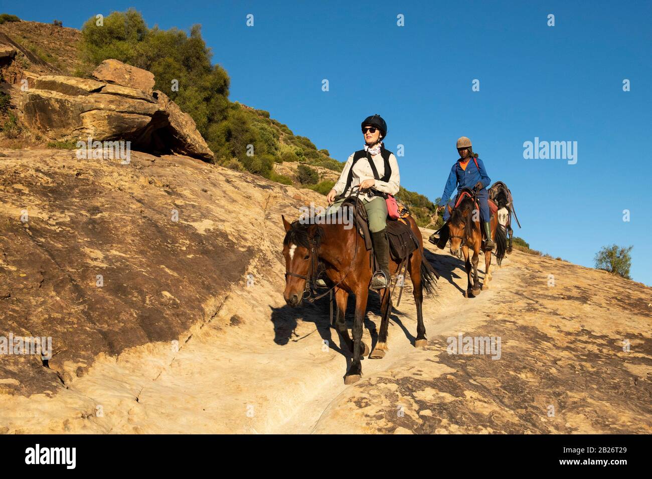 Basotho horse hi-res stock photography and images - Alamy