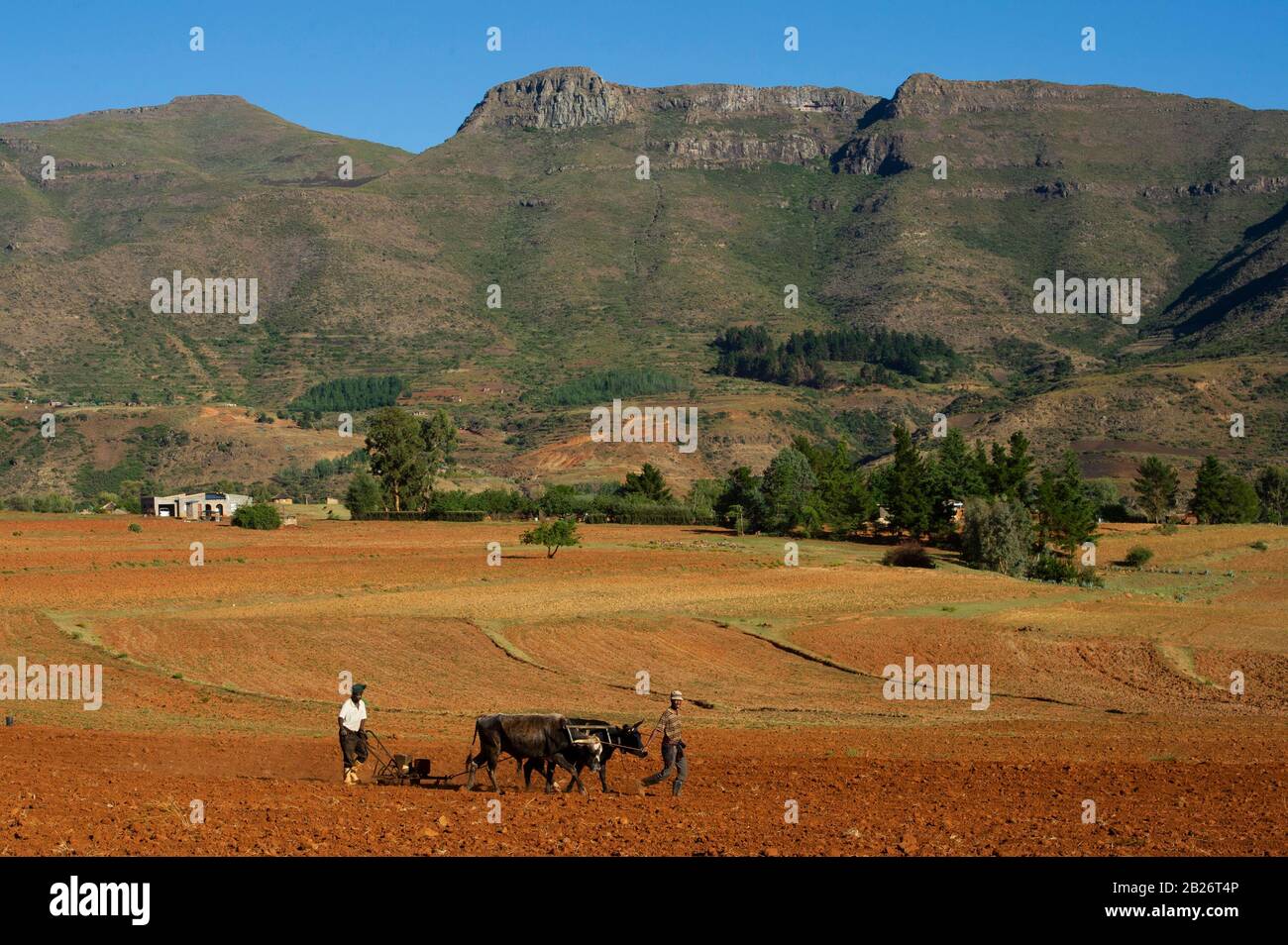Basotho people farming hi-res stock photography and images - Alamy