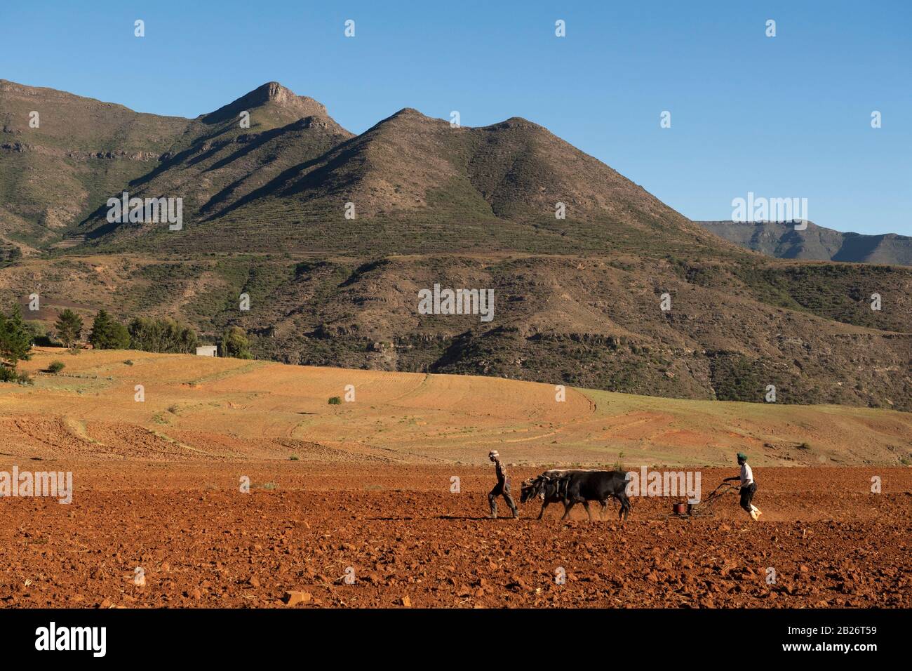 Basotho people farming hi-res stock photography and images - Alamy
