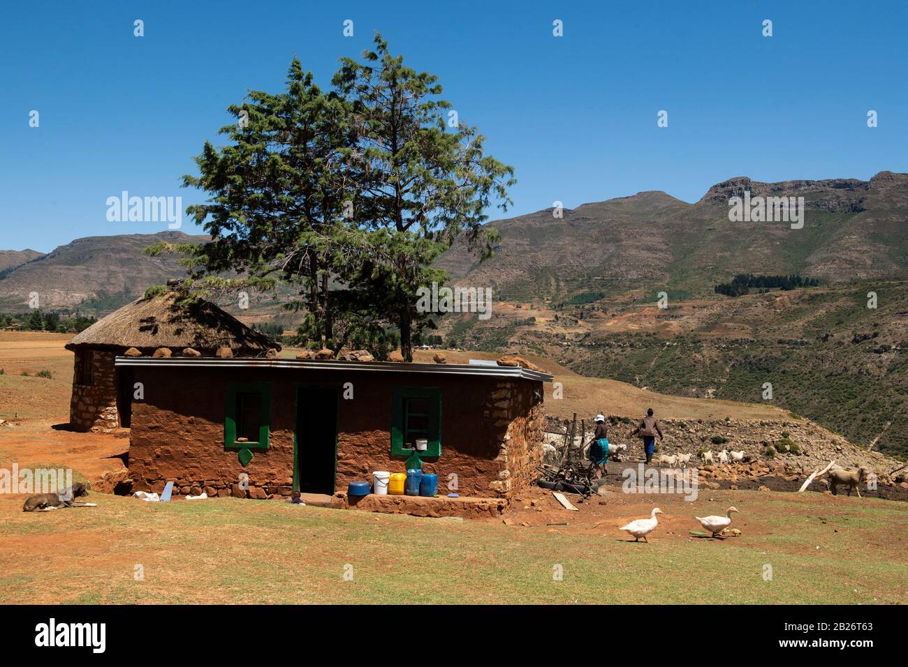 African village scene hi-res stock photography and images - Alamy