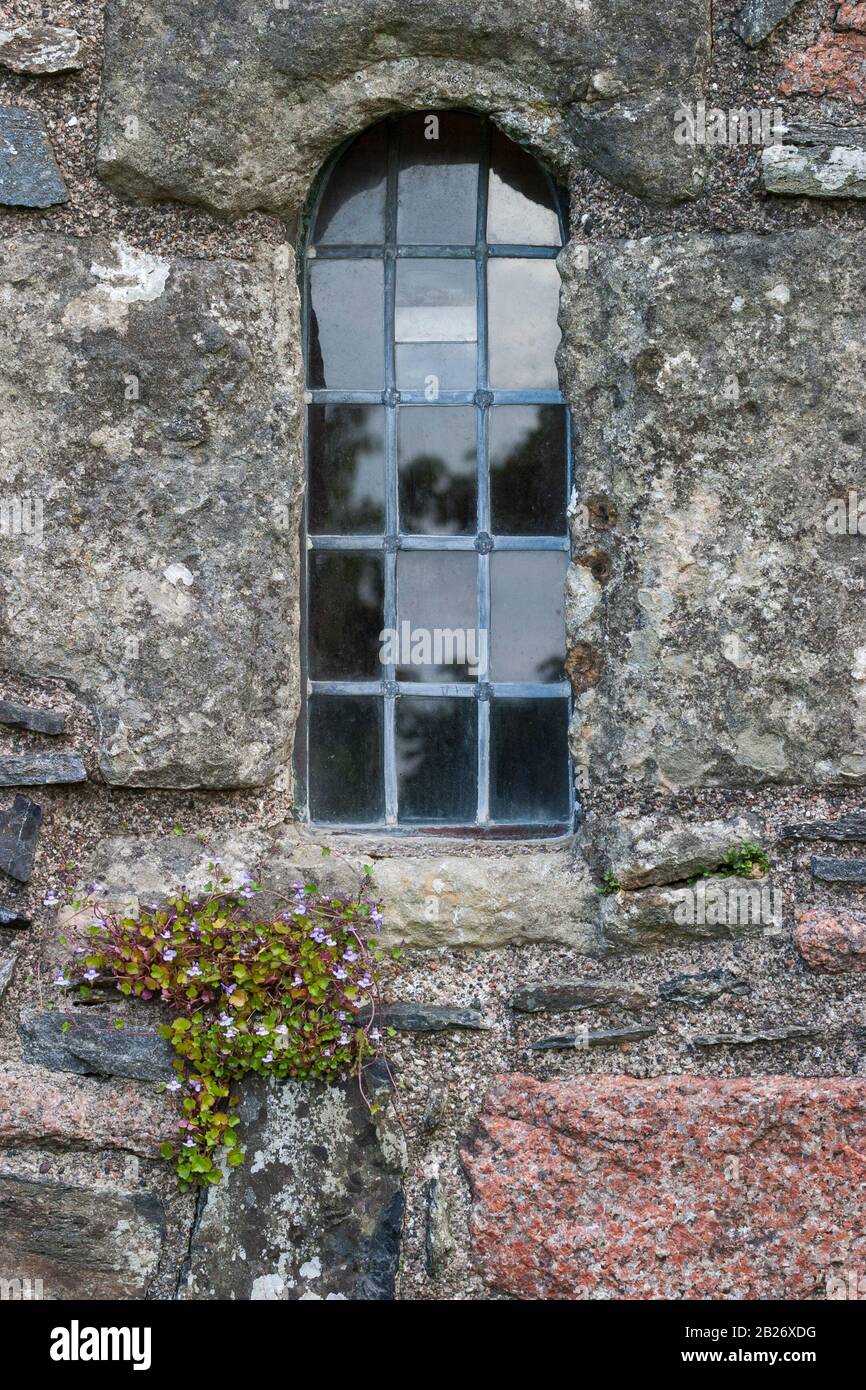 Window niche in a old abbey Stock Photo - Alamy