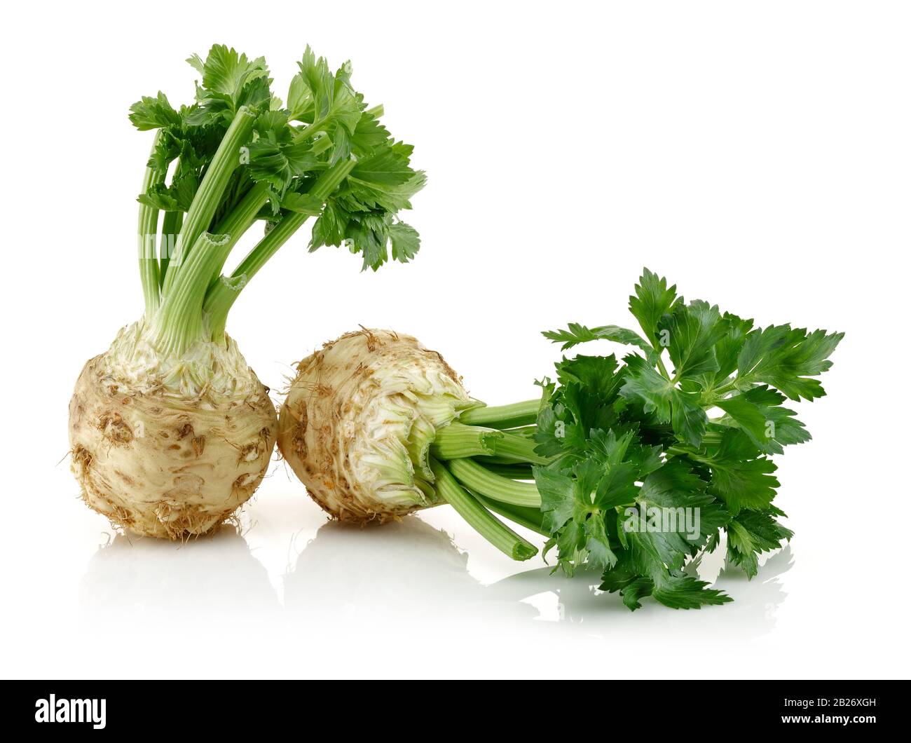 Fresh celeriac with leaves isolated on white background Stock Photo - Alamy