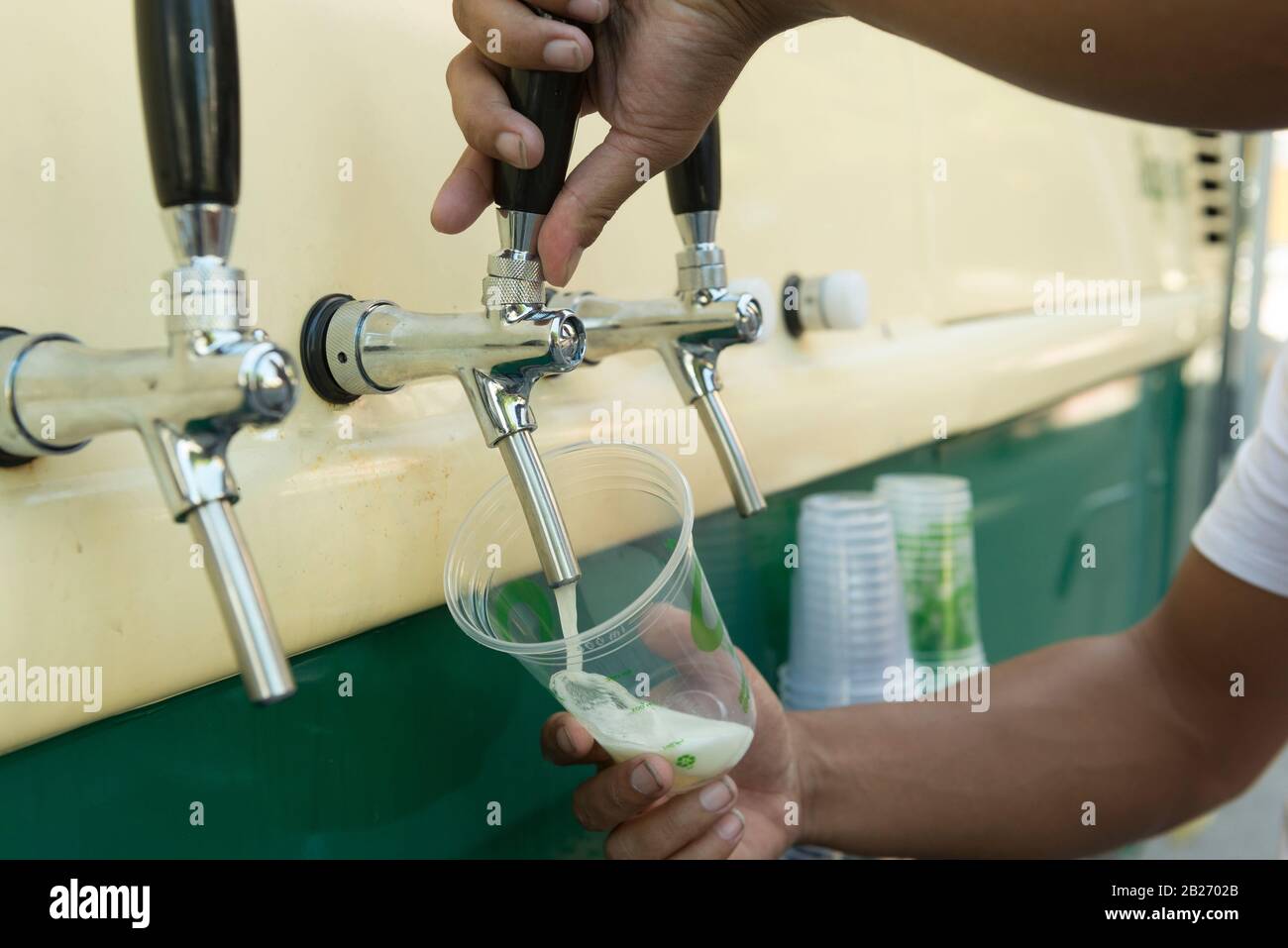 Bartender pouring from tap fresh beer into the plastic cup. Hands of ...