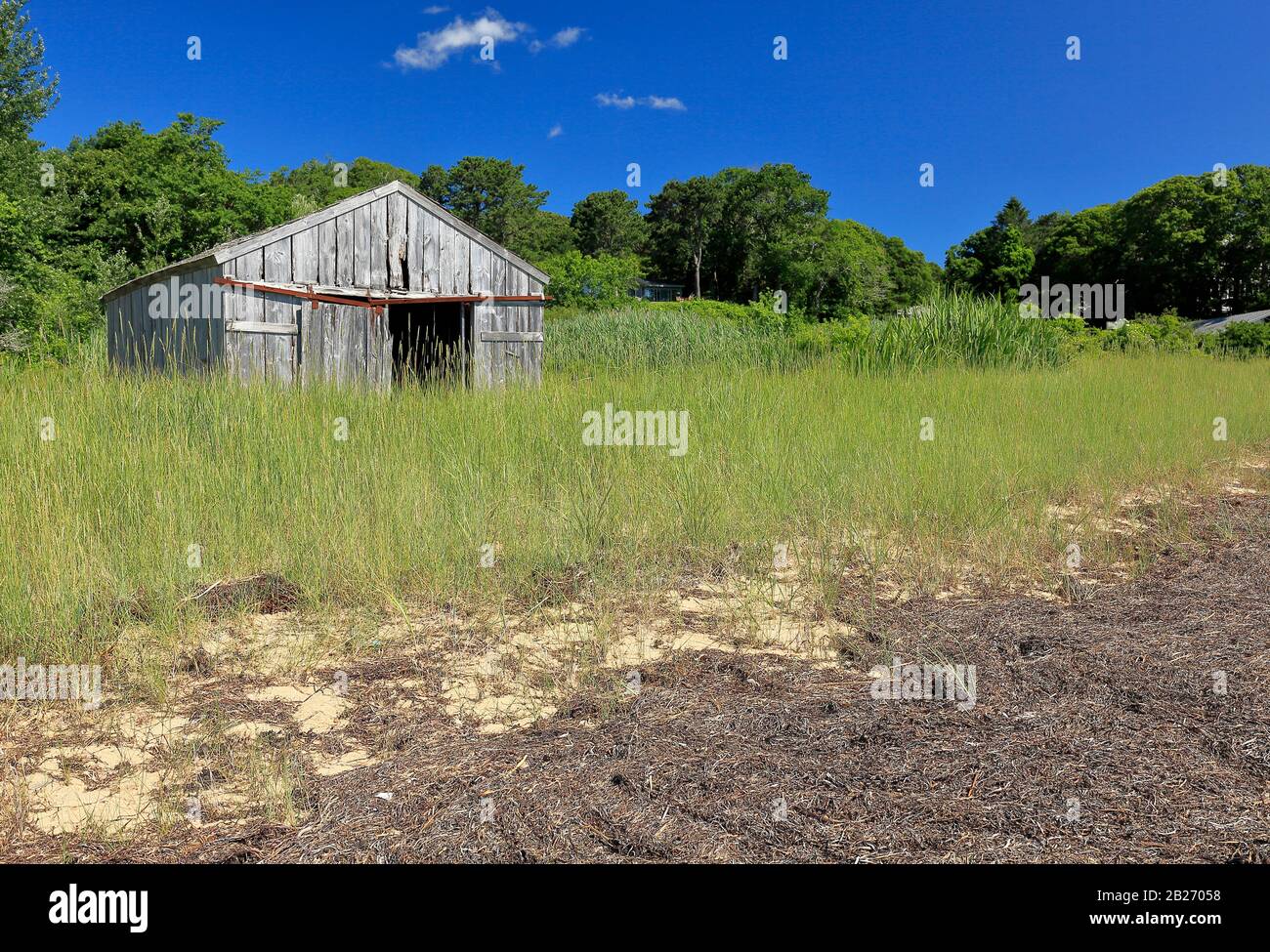 Old boathouse at Cape Cod Stock Photo - Alamy
