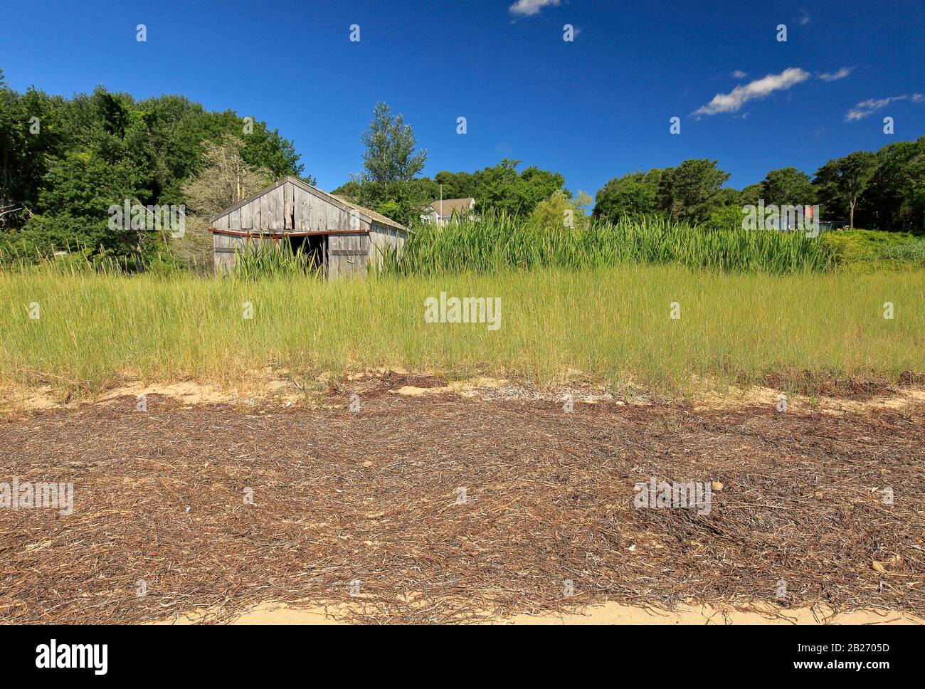 Old boathouse at Cape Cod Stock Photo - Alamy