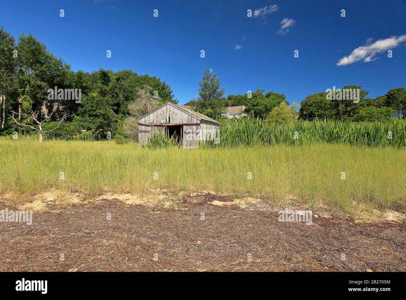 Old boathouse at Cape Cod Stock Photo - Alamy