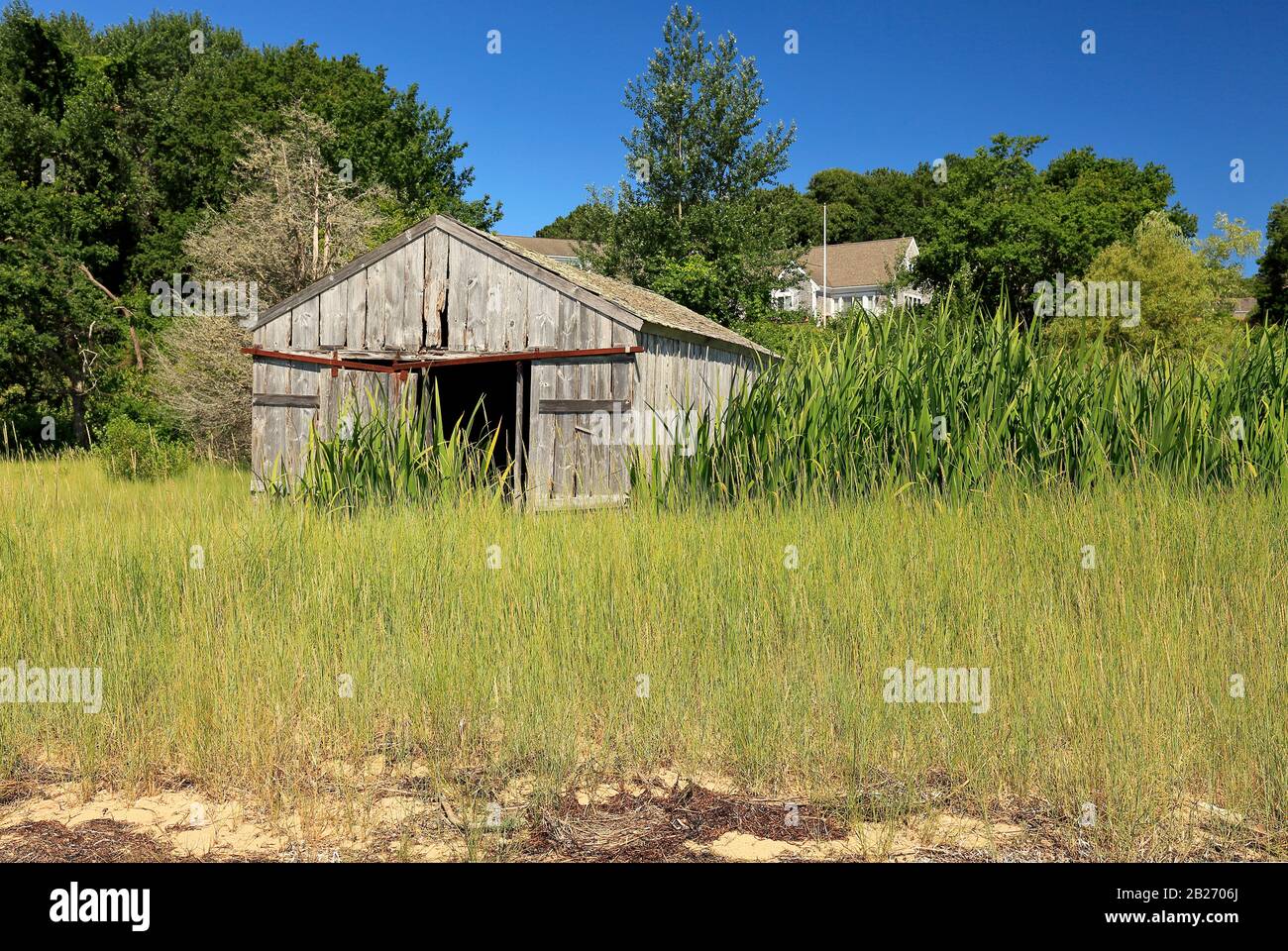 Old boathouse at Cape Cod Stock Photo - Alamy