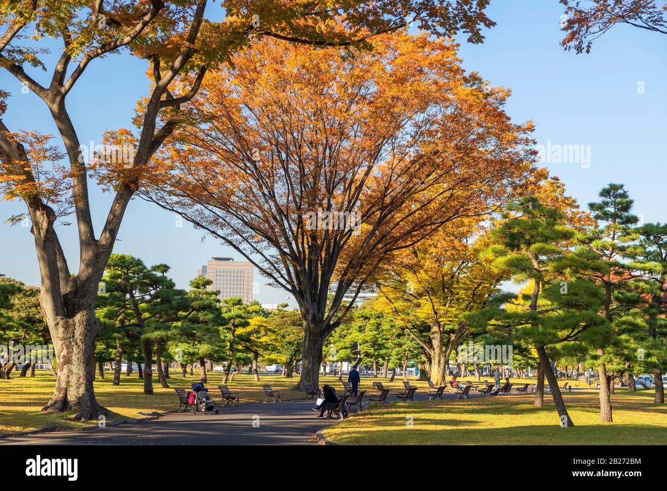 Autumn trees in Hibiya Park, Tokyo, Japan Stock Photo - Alamy