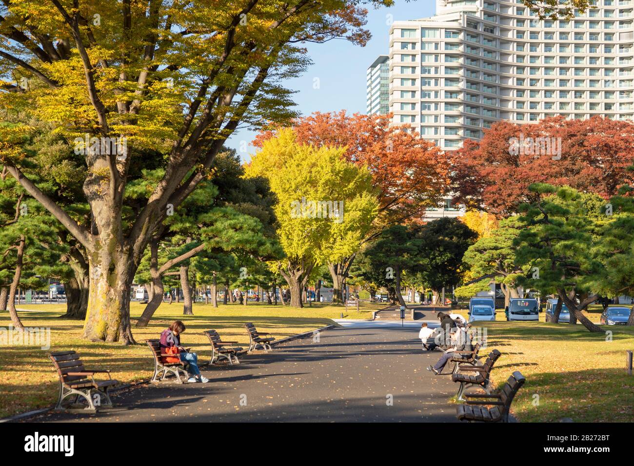 Japanese trees in grounds hi-res stock photography and images - Alamy
