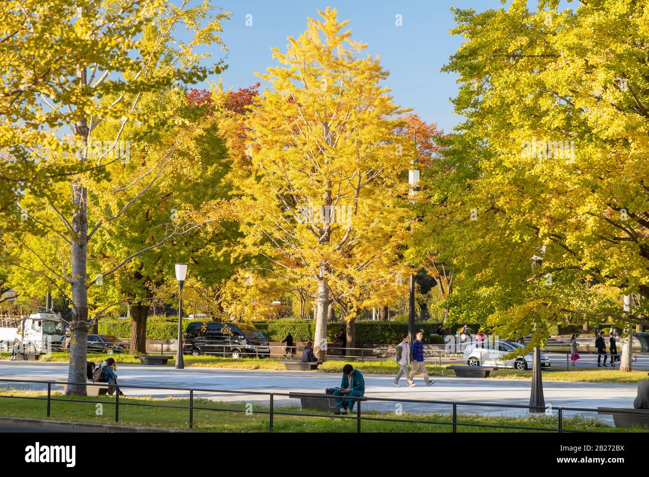 Autumn trees in Imperial Palace Outer Gardens, Tokyo, Japan Stock Photo ...