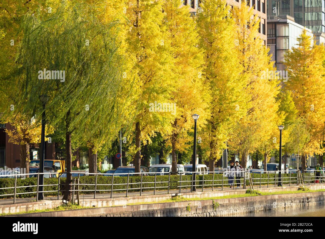 Autumn japan imperial palace tokyo hi-res stock photography and images ...