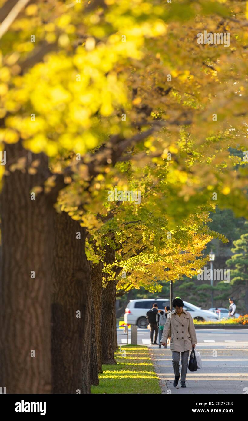 Imperial past hi-res stock photography and images - Alamy