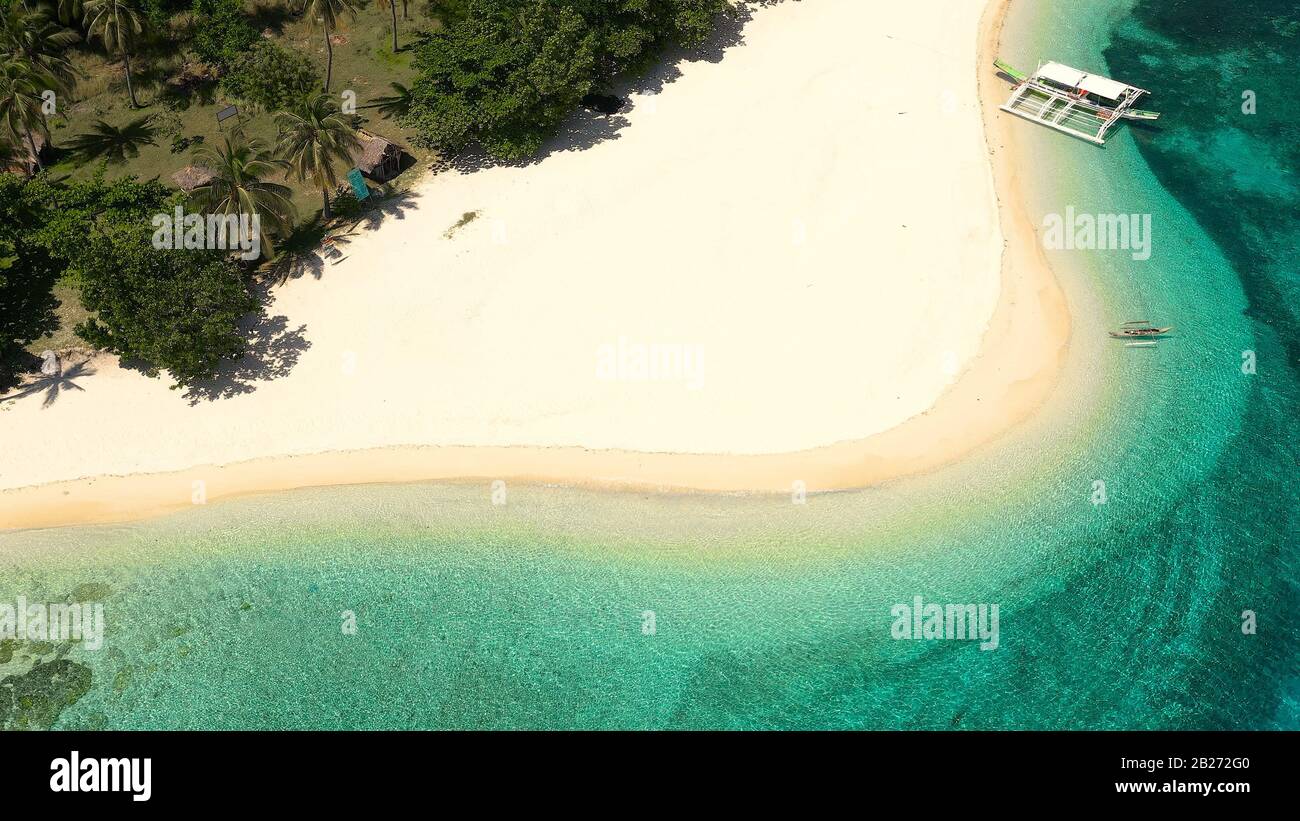 Tropical island on the attole, top view. White sandy beach with palm ...