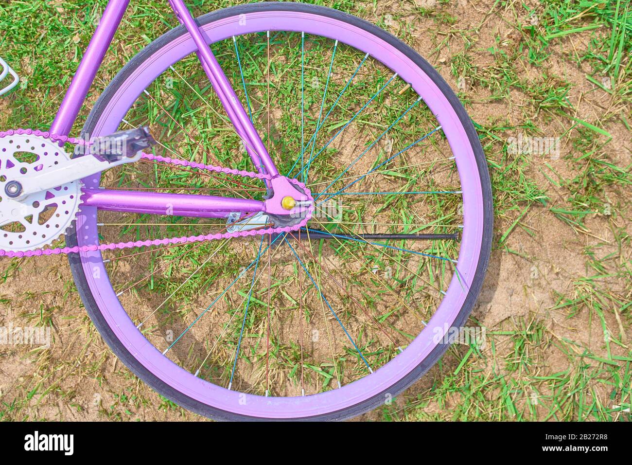 Pink Bicycle Saddle High Resolution Stock Photography and Images - Alamy