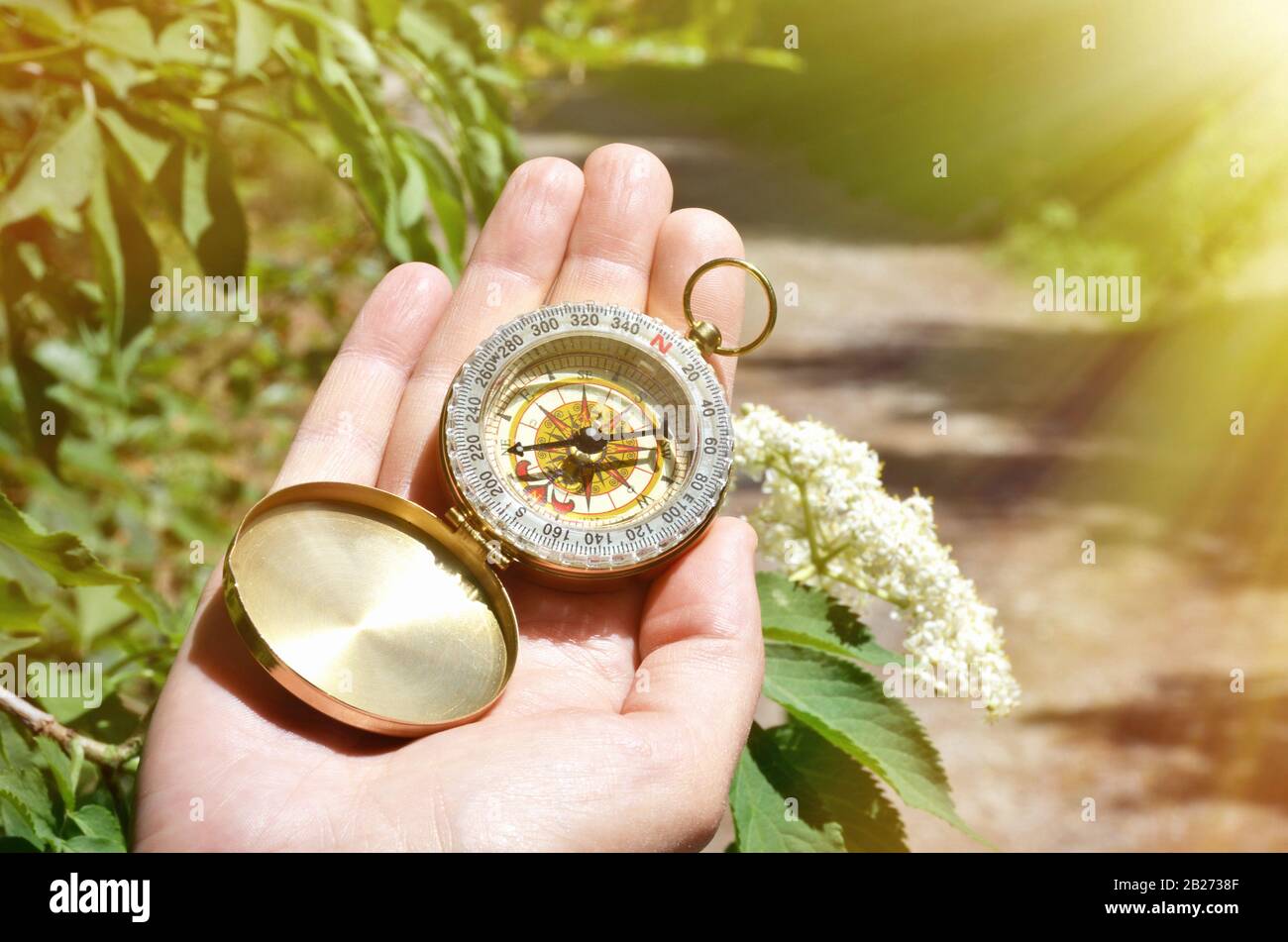Compass in the hand Stock Photo - Alamy