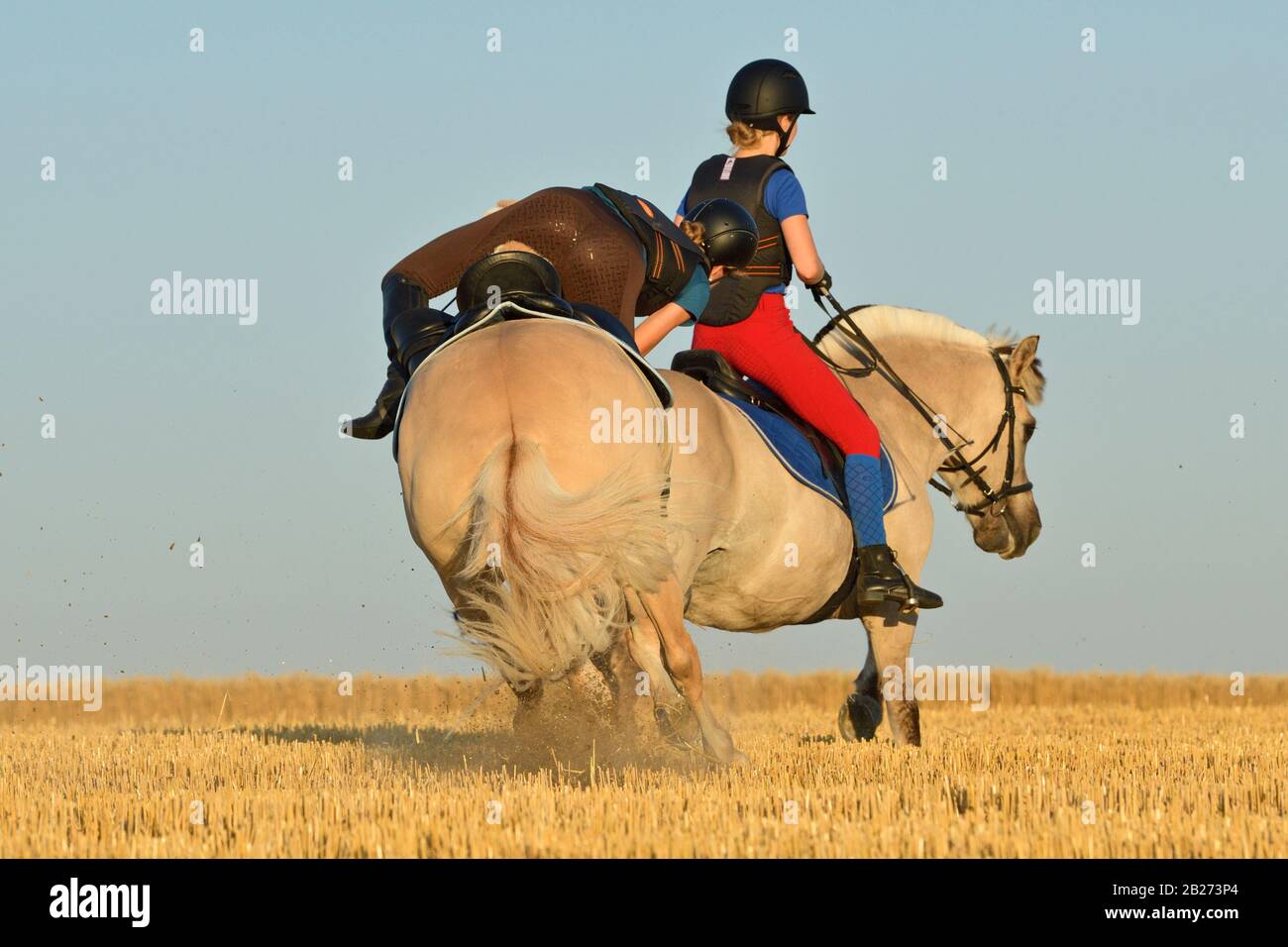 Rider falling of a horse hi-res stock photography and images - Alamy