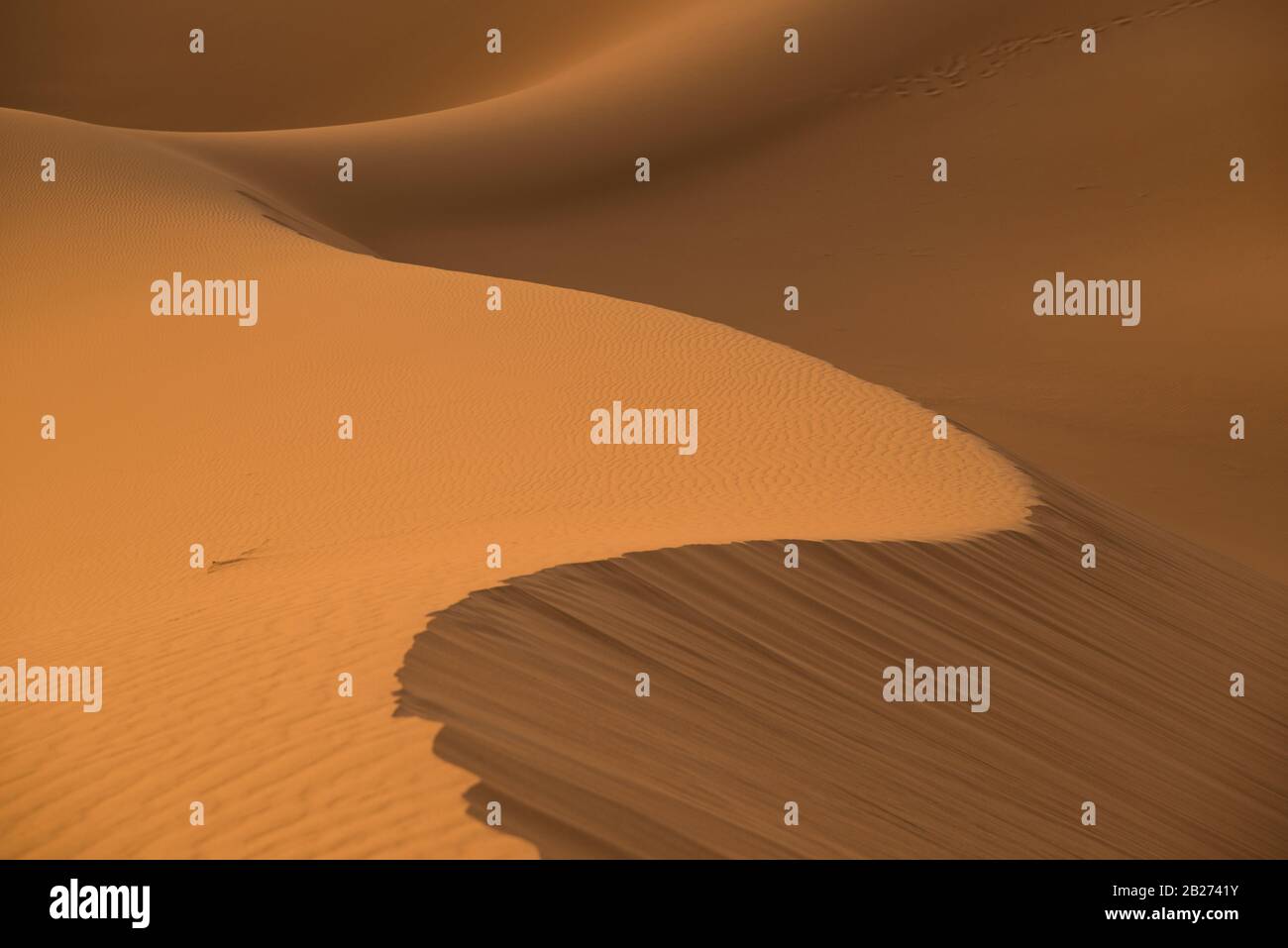 Fantastic desert pattern Stock Photo - Alamy