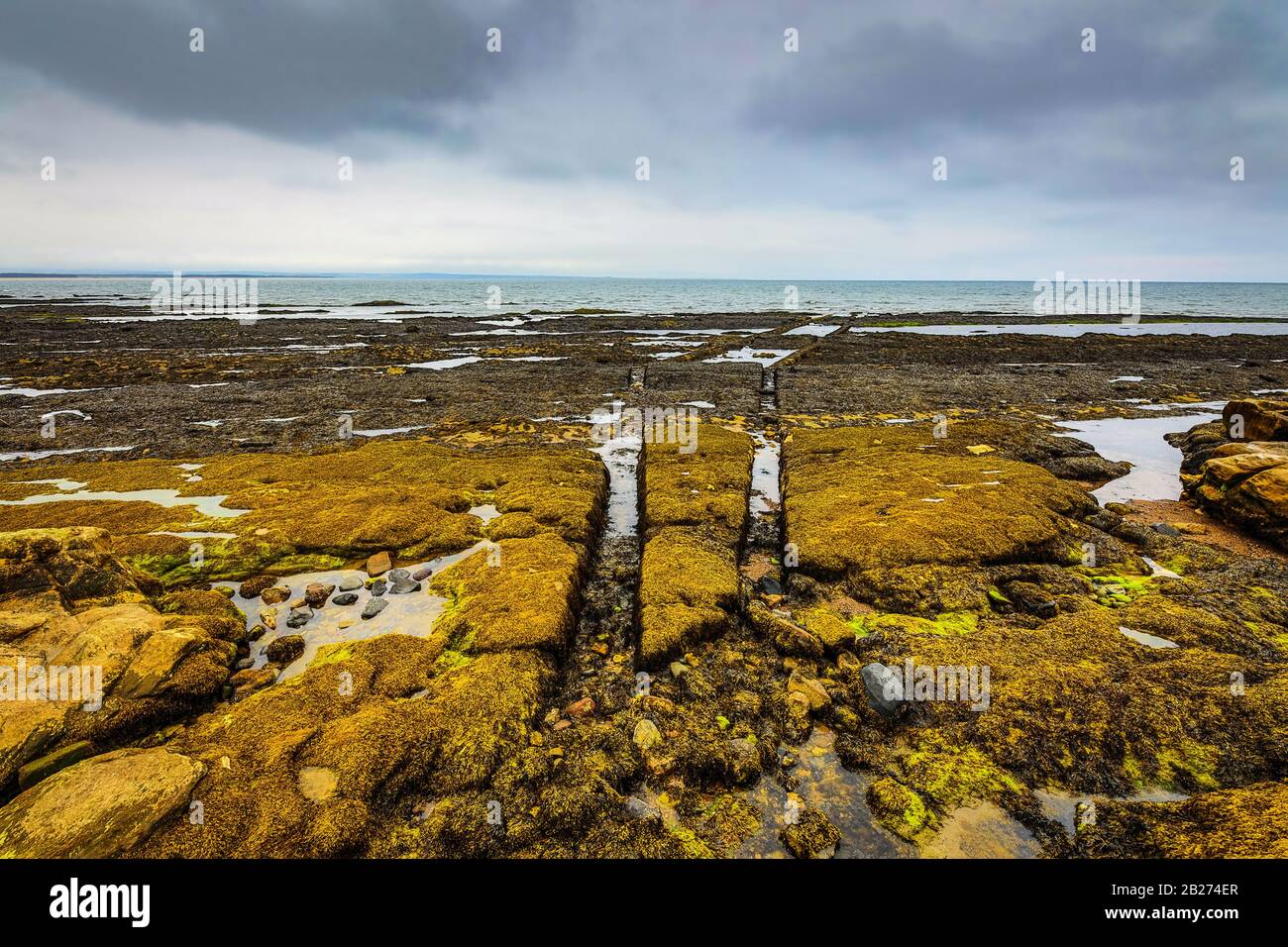 Waves breaking on coastal cliffs of Scotland Stock Photo - Alamy