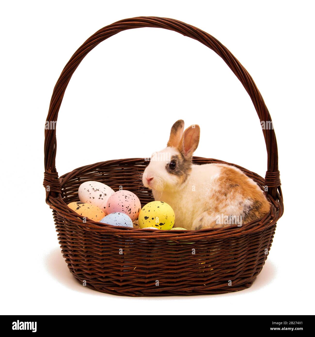 Rabbit basket hi-res stock photography and images - Alamy