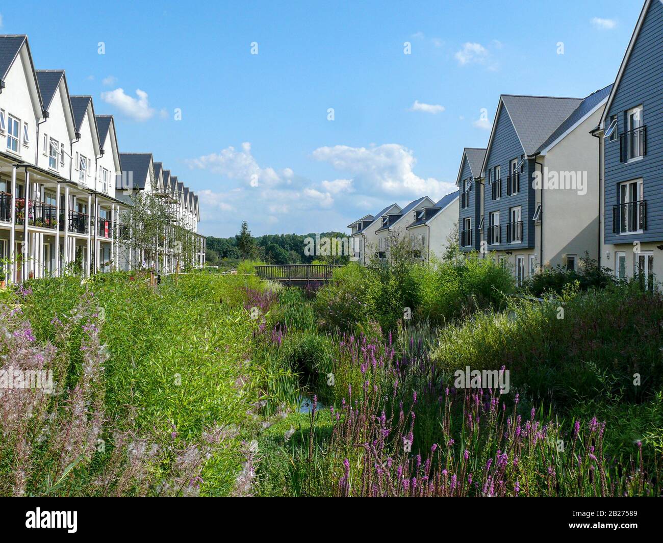 A view along the area known as the reedbeds on the Watercolour ...