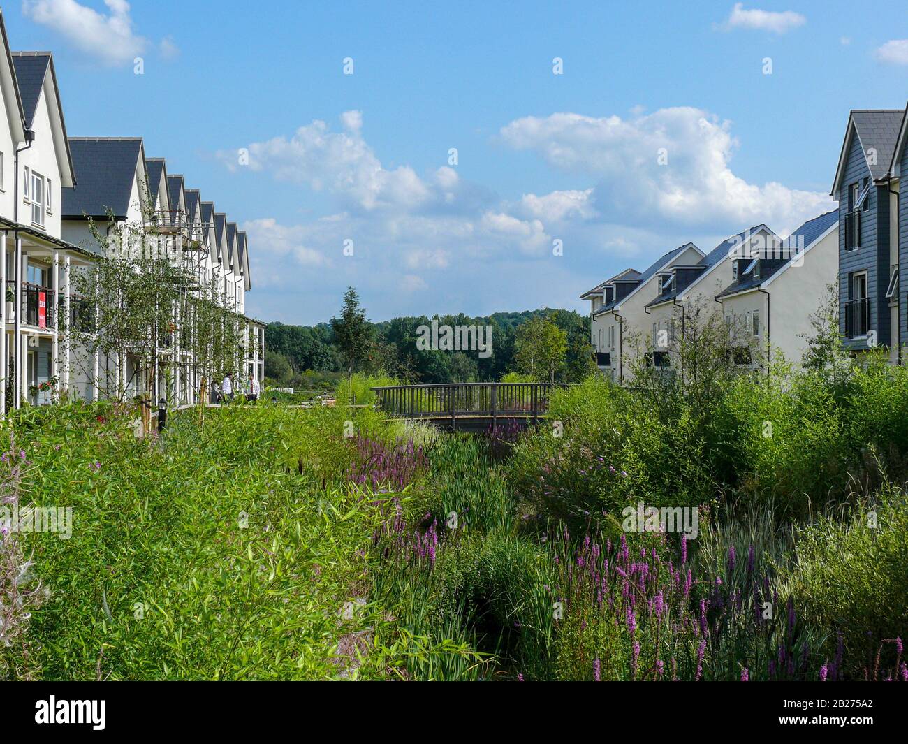 A view along the area known as the reedbeds on the Watercolour ...