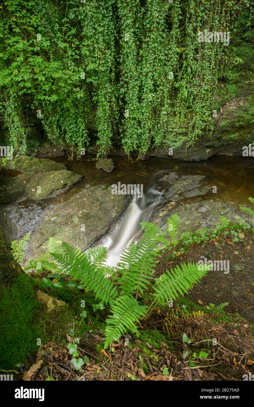 Waterfall and lush foliage in Glen Make on the West coast of The Isle ...