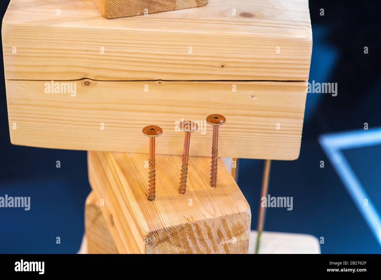 Tree screws in a wooden surface standing in a row Stock Photo - Alamy