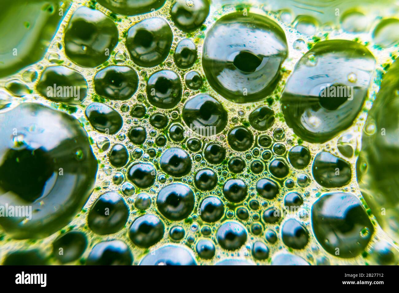 green bubble pattern as a foam structure on a liquid surface Stock ...