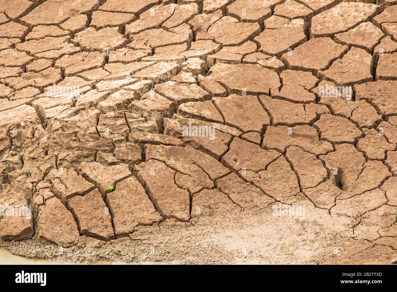 Nature background of cracked dry lands. Natural texture of soil with ...