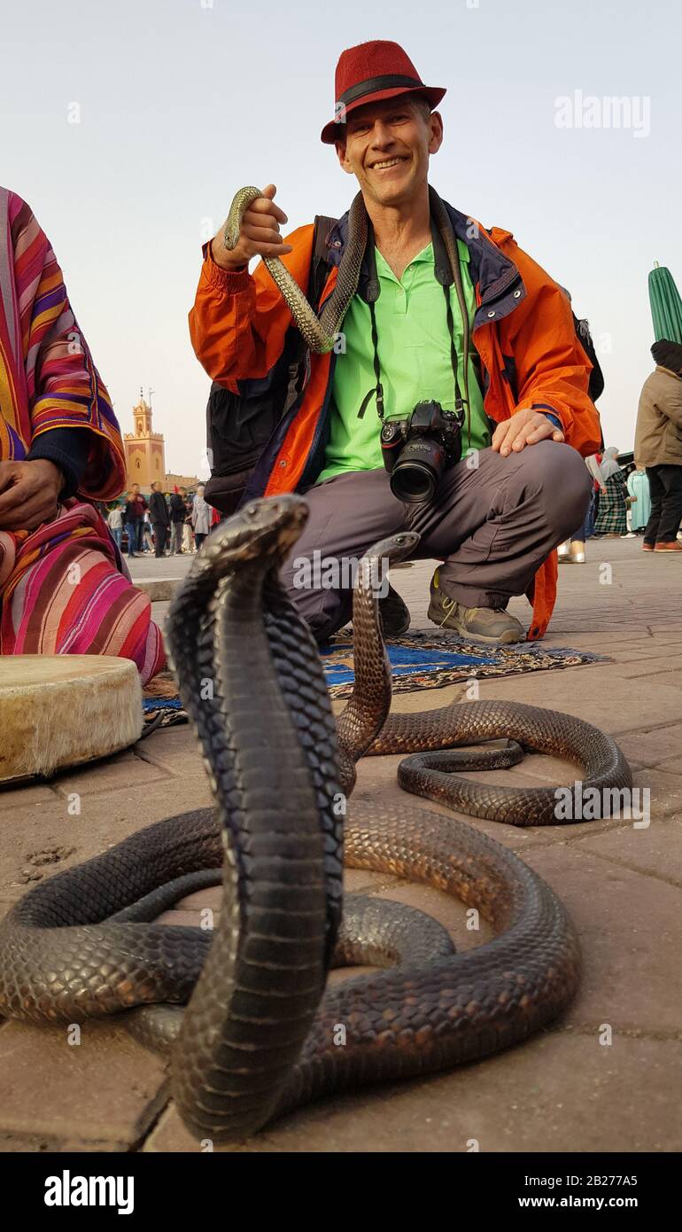 Snakes jemaa el fna square hi-res stock photography and images - Alamy