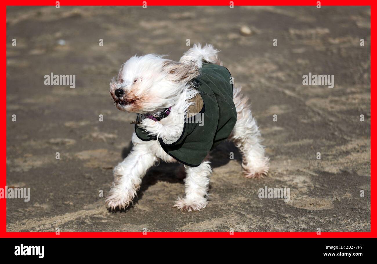 Gareth sands hi-res stock photography and images - Alamy