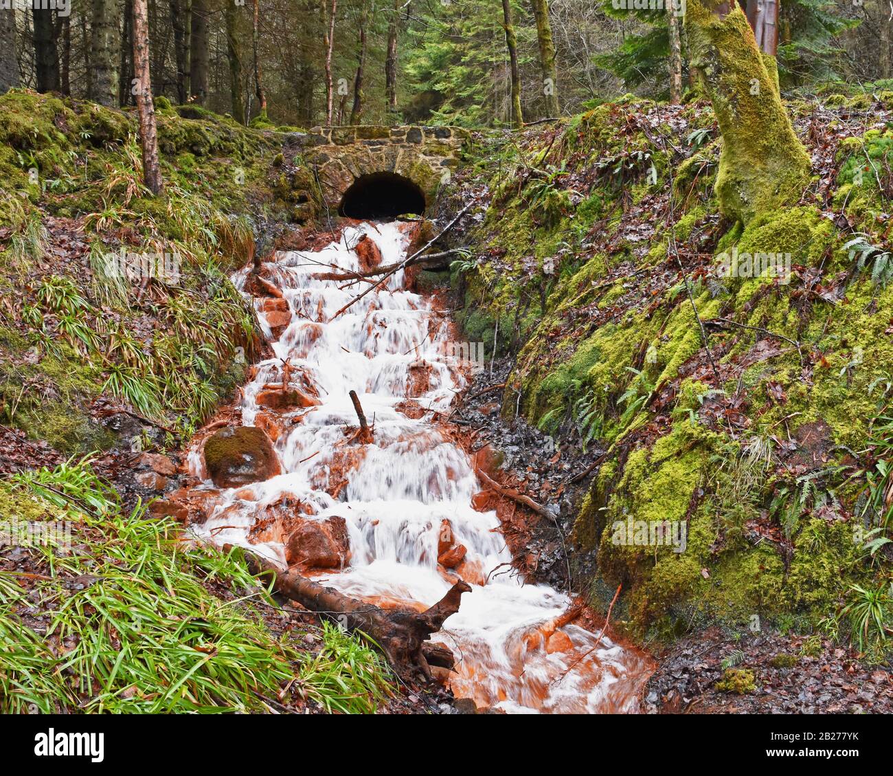 Blairadam hi-res stock photography and images - Alamy