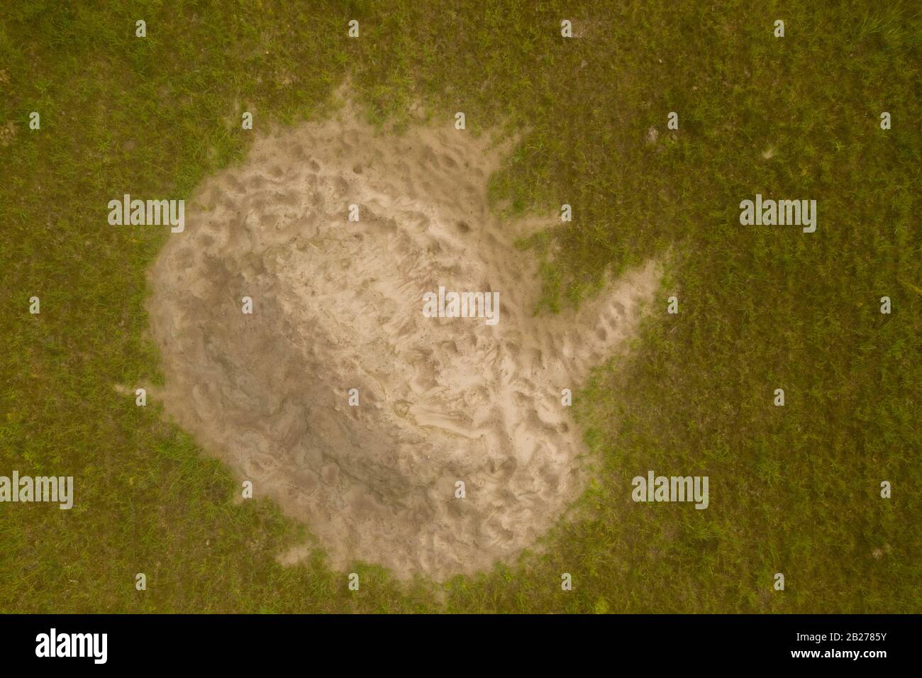 Human formation top view hi-res stock photography and images - Alamy