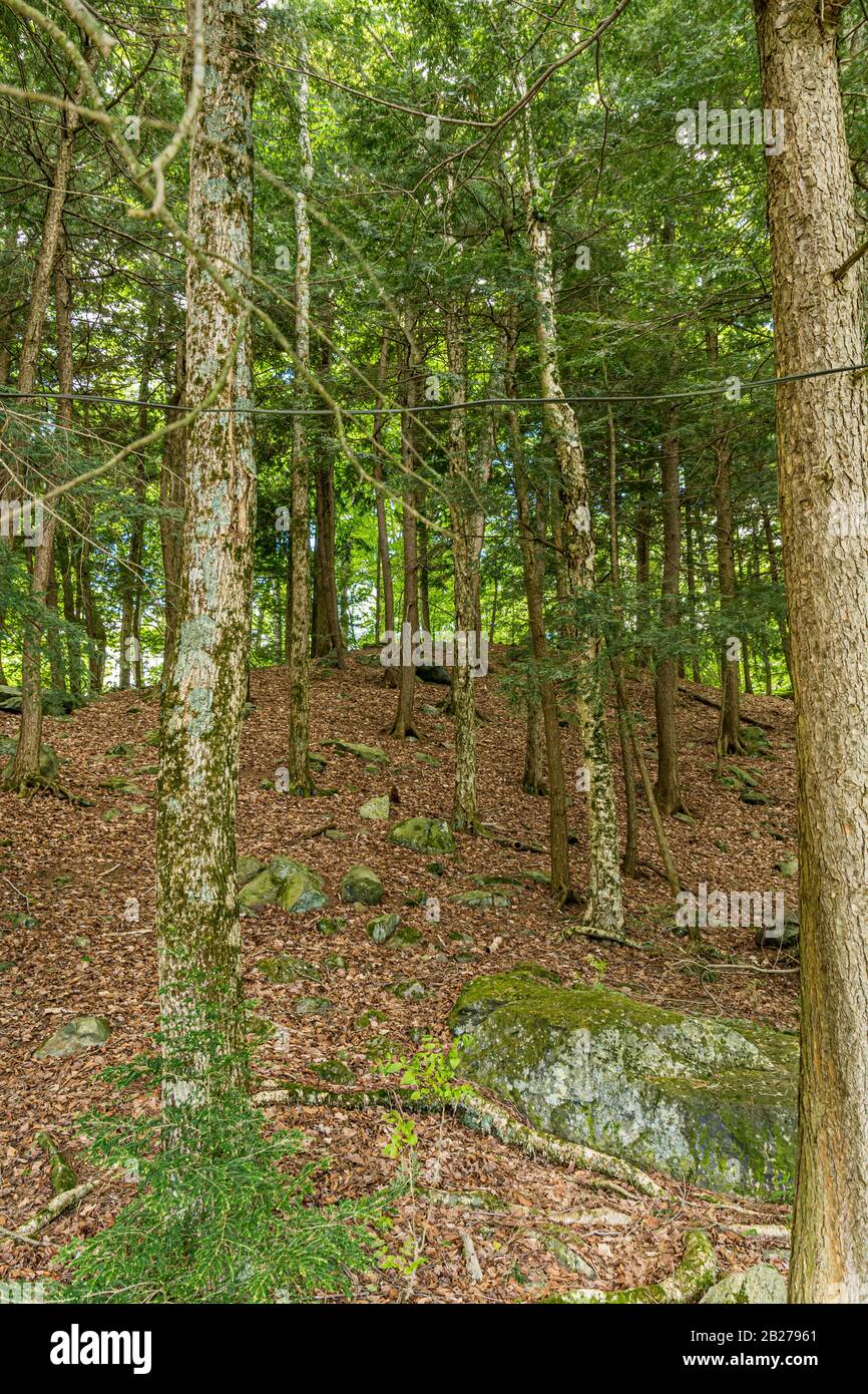 O'Hara Settlement and Homestead Provincial Park Madoc Ontario Canada in ...