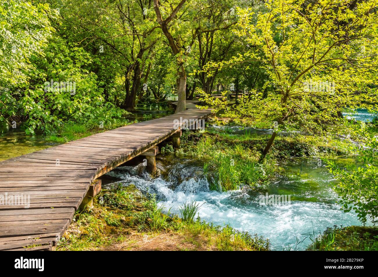 Wooden boardwalk in the green forest of Krka National Park, Croatia. Beautiful walking trail or ...