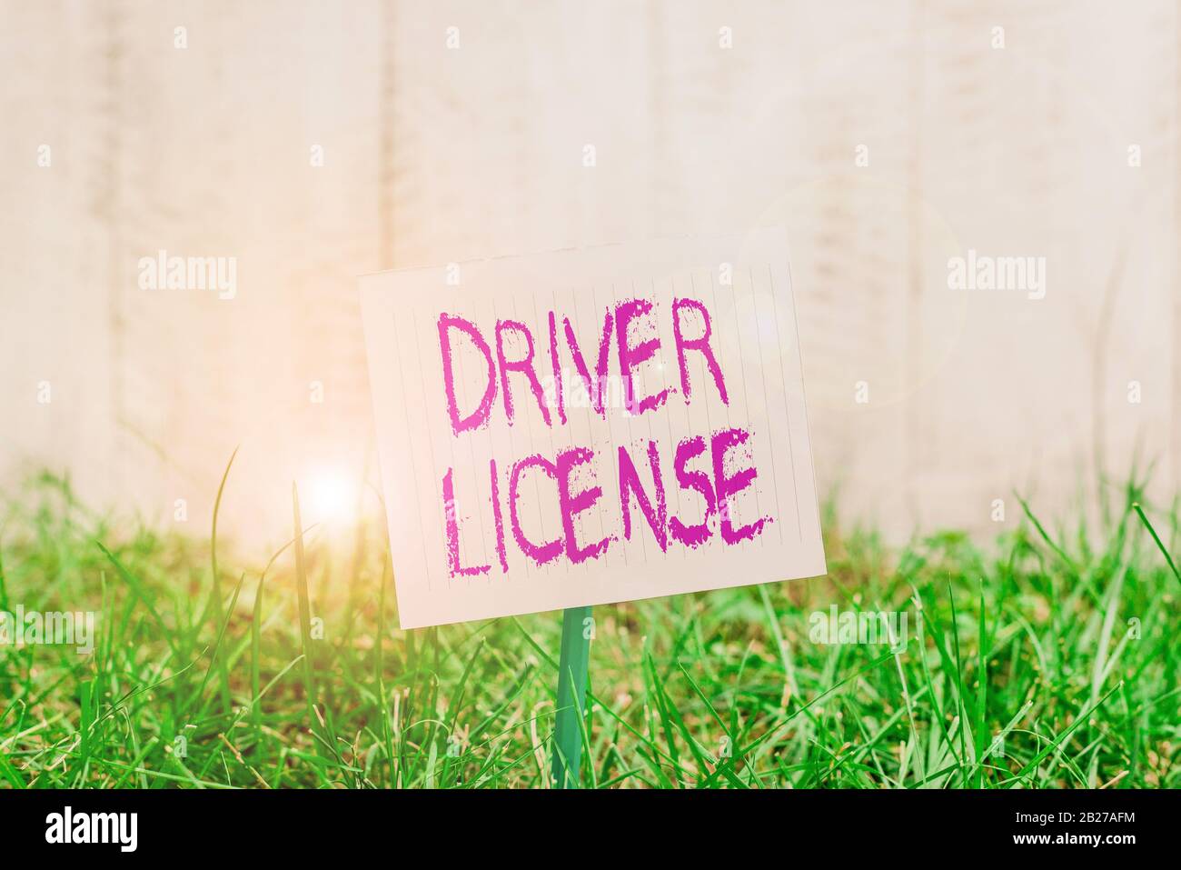 Text sign showing Driver License. Business photo showcasing a document ...
