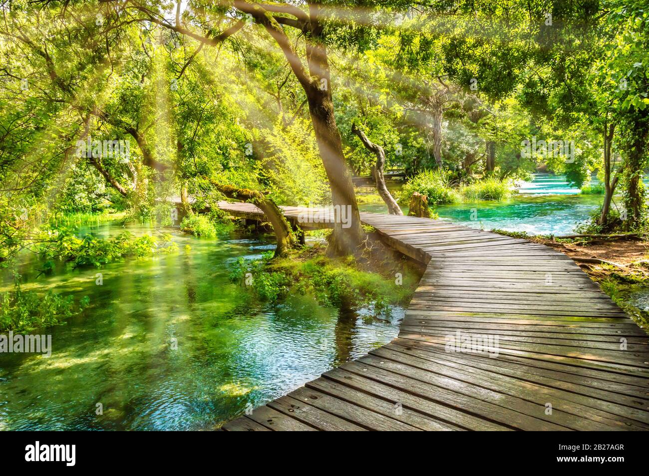 Wooden boardwalk in the green forest of Krka National Park, Croatia ...