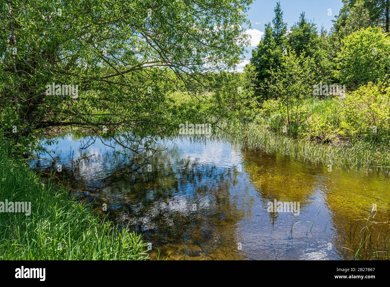 O'Hara Settlement and Homestead Provincial Park Madoc Ontario Canada in ...