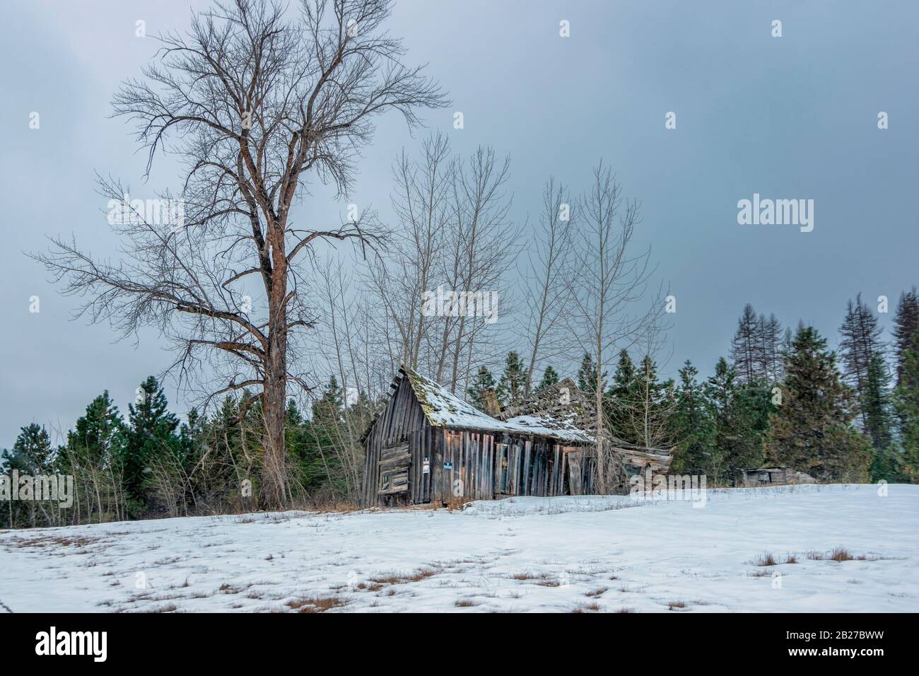 Old and Dilapidated and Shack caving in from age and the weight of the ...
