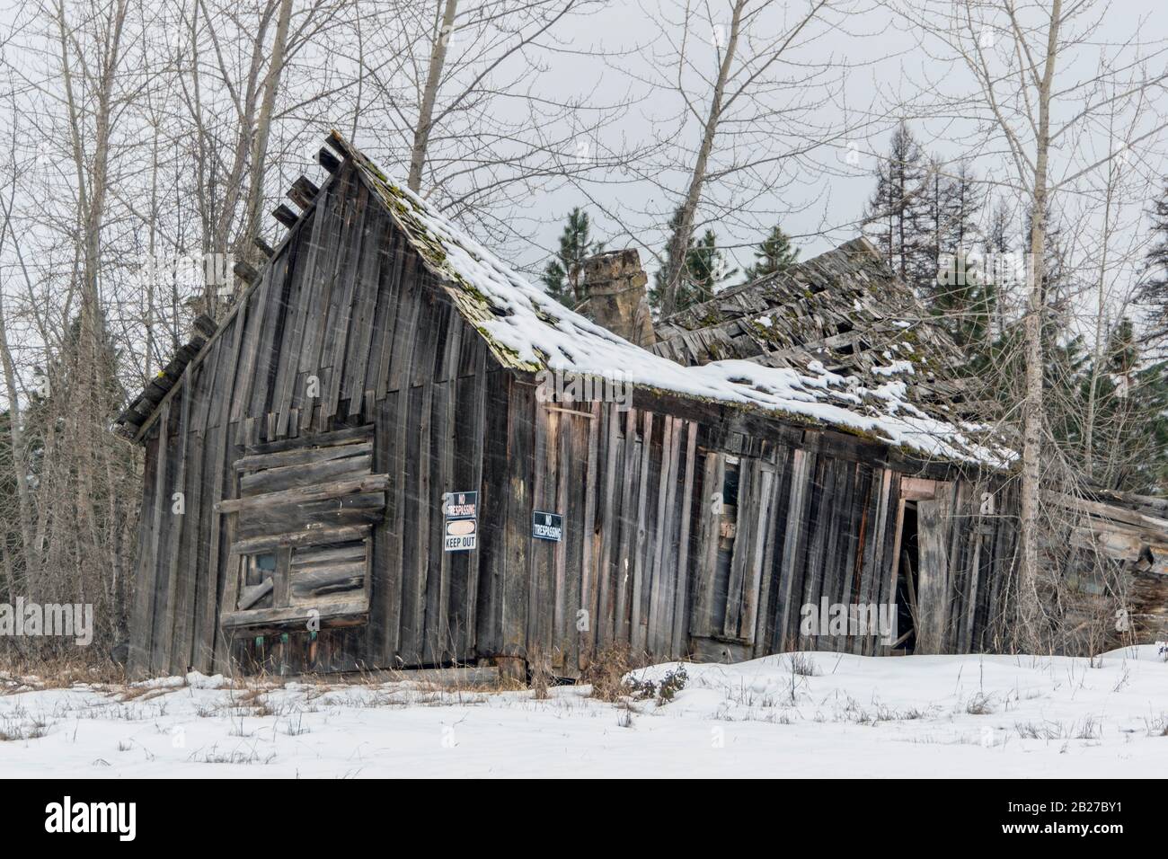Old and Dilapidated and Shack caving in from age and the weight of the ...