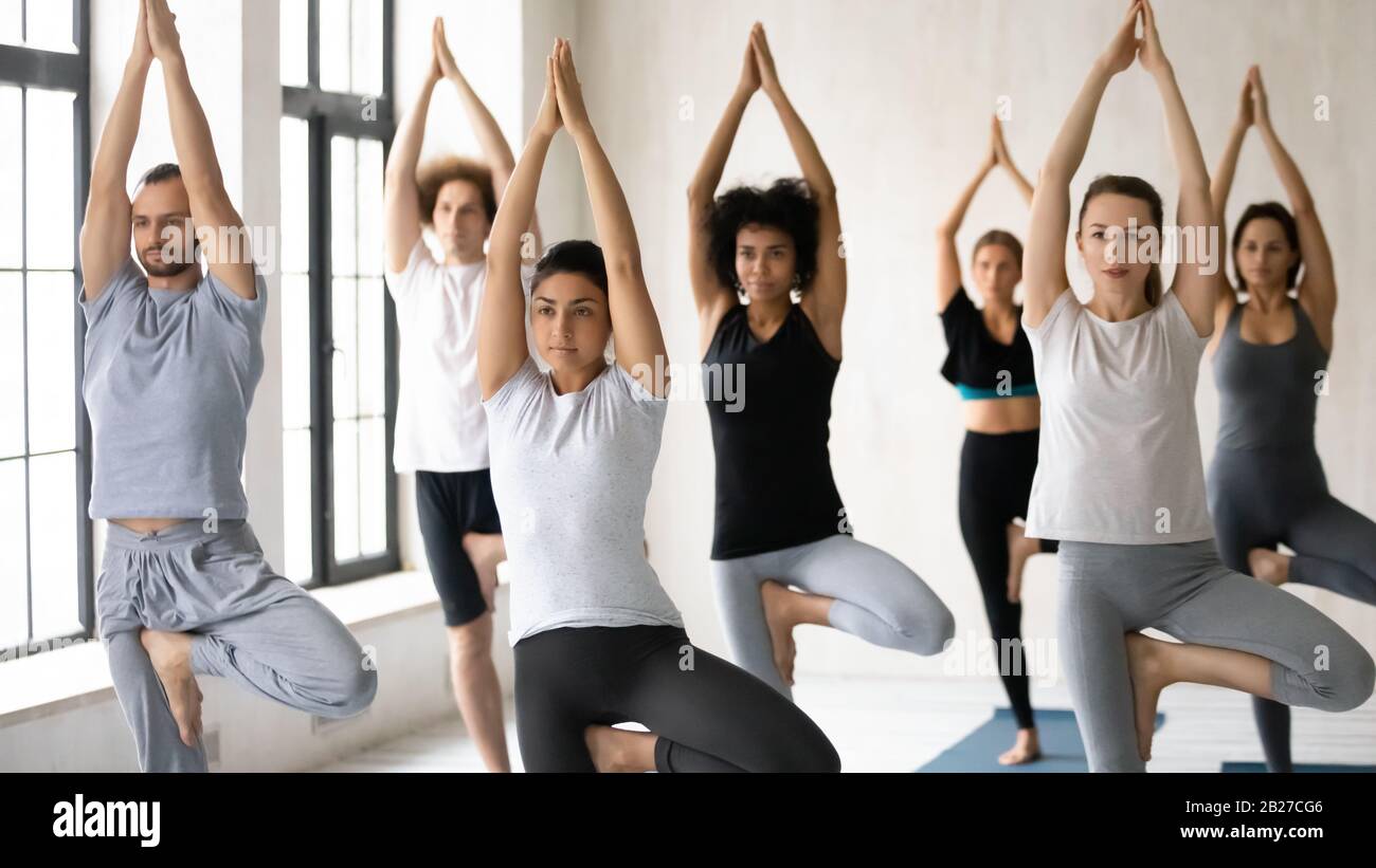 Different ethnicity people performing Tree Pose yoga asana Stock Photo ...