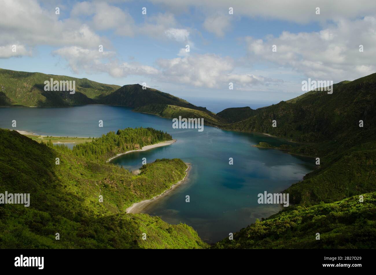 Wildlife photography in Portugal Stock Photo - Alamy