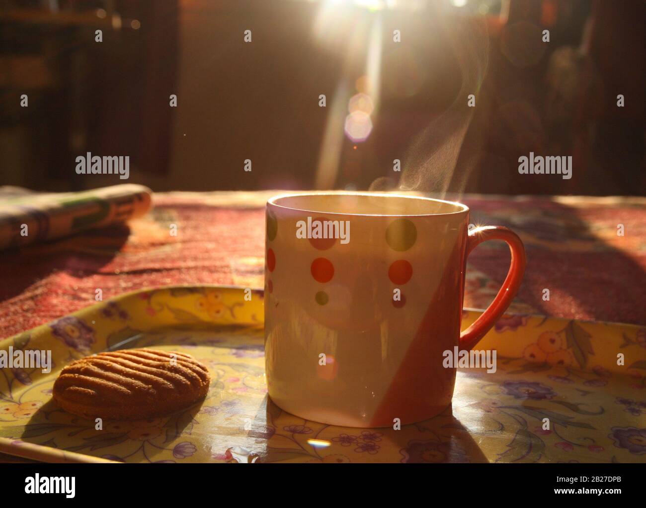 Smoke emitting from a tea cup kept on a tray and served with a biscuit ...