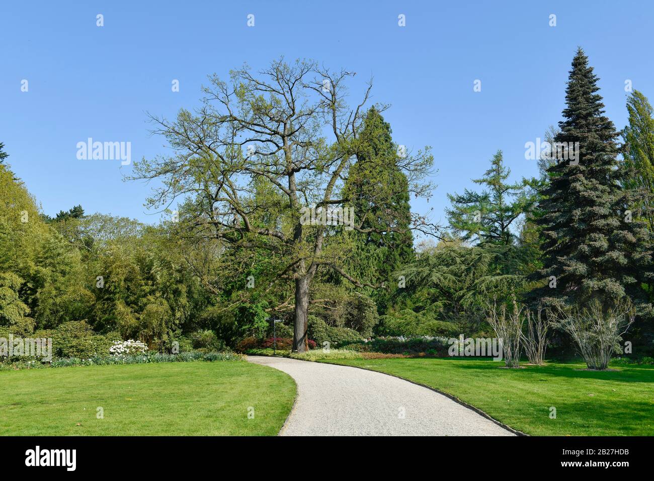 Berggarten, Herrenhäuser Gärten, Hannover, Niedersachsen, Deutschland ...