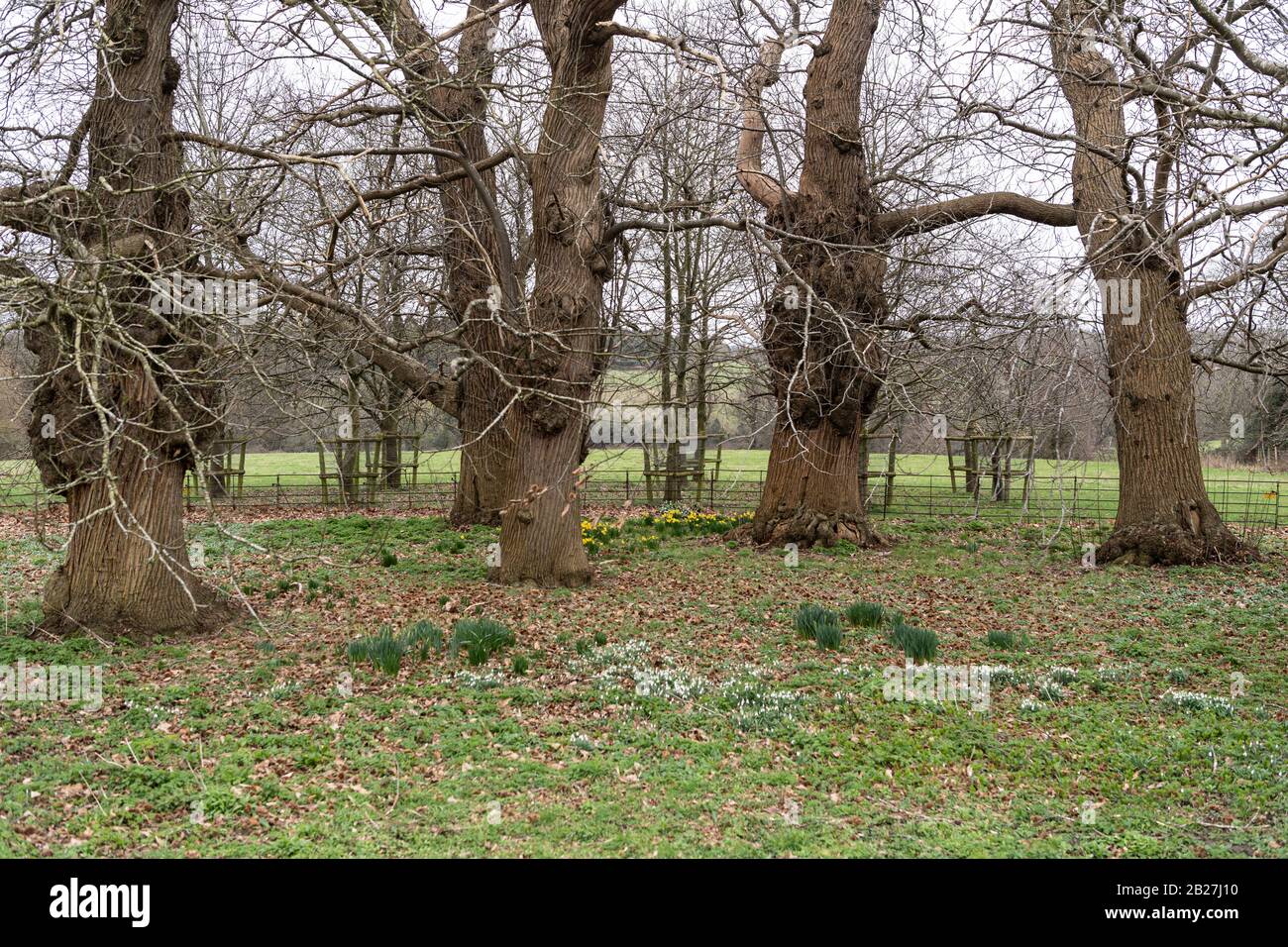 Berkshire uk landscape painting hi-res stock photography and images - Alamy