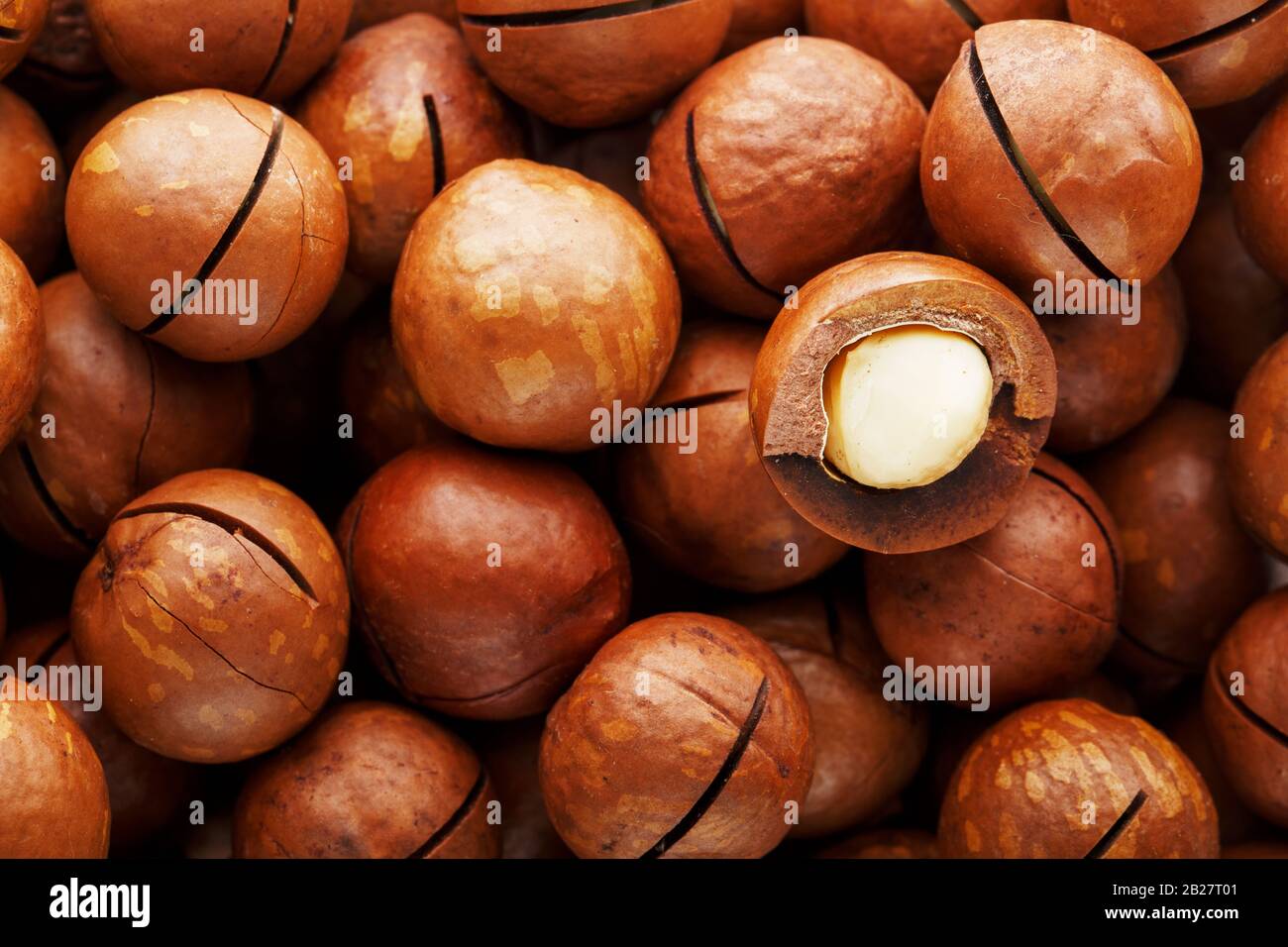 Texture of organic macadamia nut fresh natural fruit shelled one nut in ...