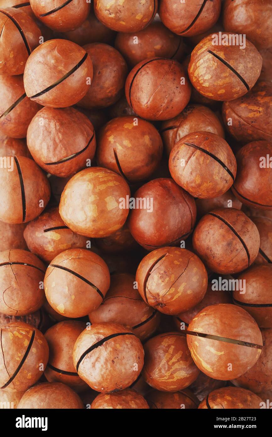 Texture of organic macadamia nut fresh natural fruit shelled one nut in ...